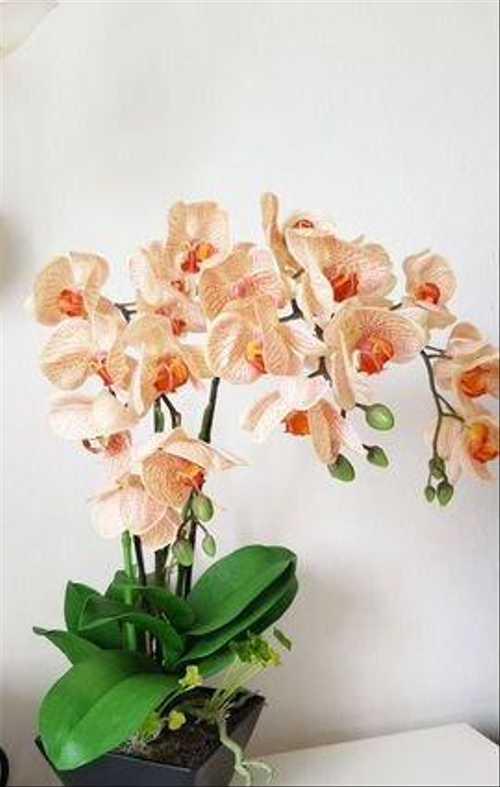 Орхидея искусственная 3ветки h50см латекс в кашпо