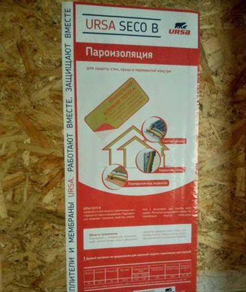 Ursa seco B