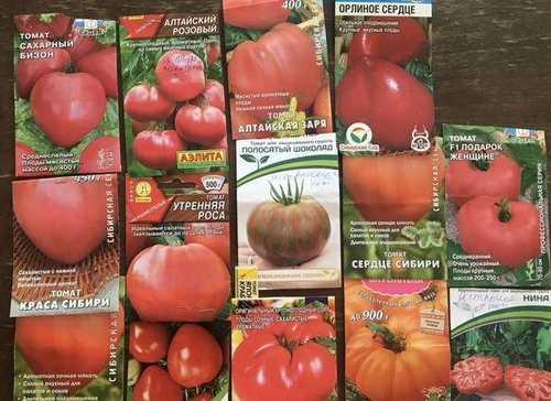 Продам рассаду томатов, перцев, огурцов и прочее