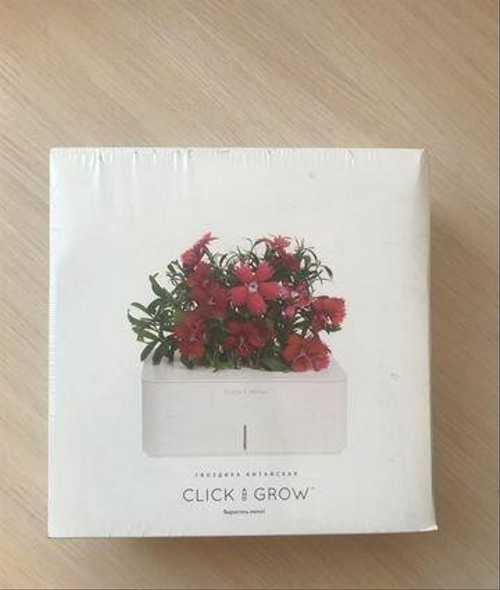 Смартпот умный цветок, гвоздика, Click & Grow