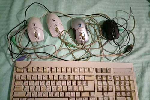 Компьютерная мышь и клавиатура
