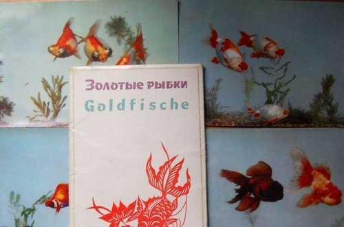 Набор открыток. Золотые рыбки. 1964г