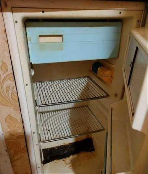 Холодильник бу Прибалтика Snage