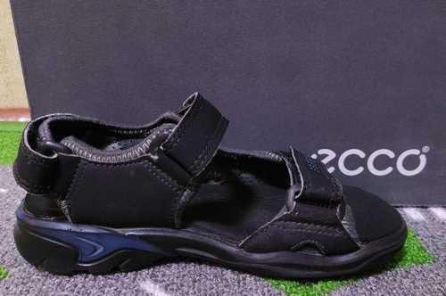 Ecco biom raft