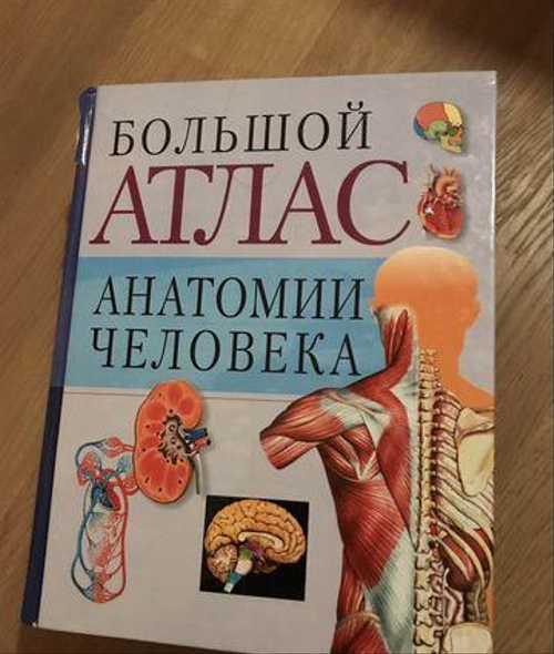 Атлас анатомии человека Самусев Липченко. Большой атлас анатомии человека Воробьев. Большой атлас анатомии человека Самусев.