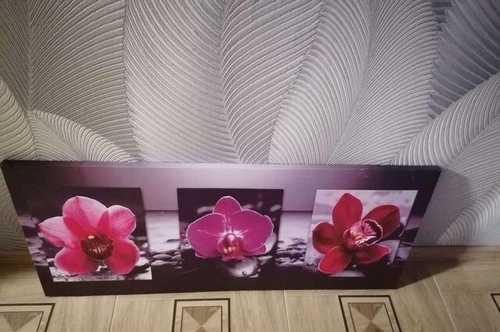 Картина орхидея