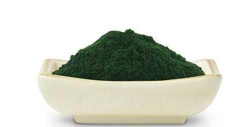 Спирулина (spirulina)