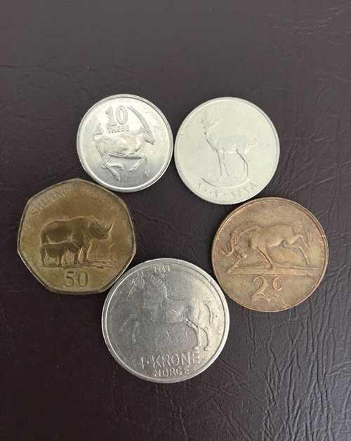 Монеты с животными