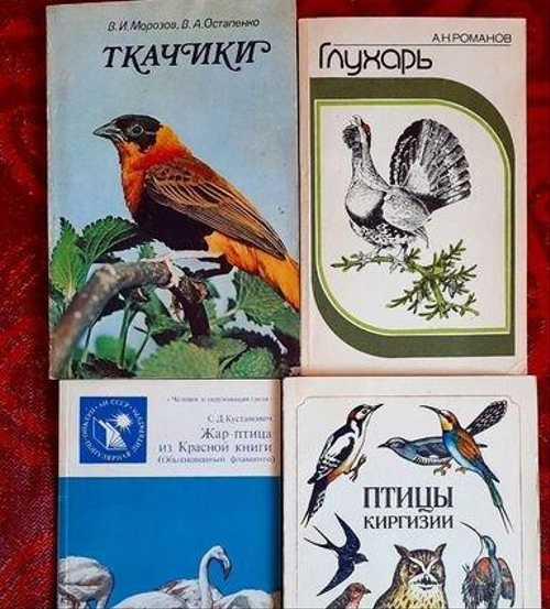 Птицы ссср книга. Птицы красной книги. Успенский «птицы» книга. Домино птицы СССР.