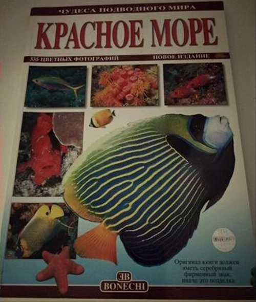 Книга "Красное море. Чудеса подводного мира"