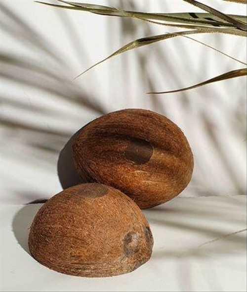 Скорлупа кокоса prokokos