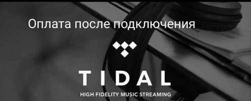 Tidal Premium Hi-Fi plus