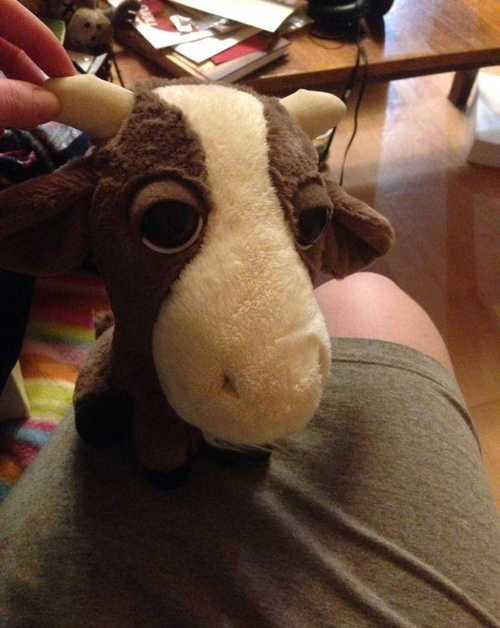 Игрушка из Дикси Бычок