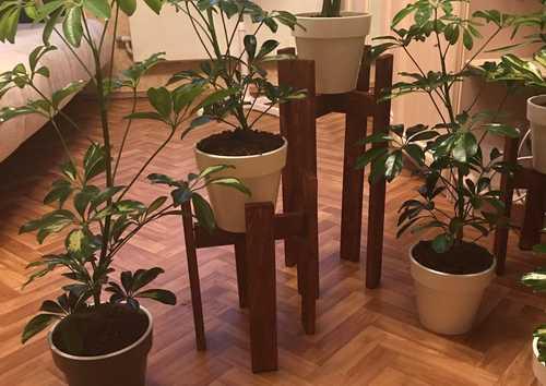 Подставки для растений деревянные