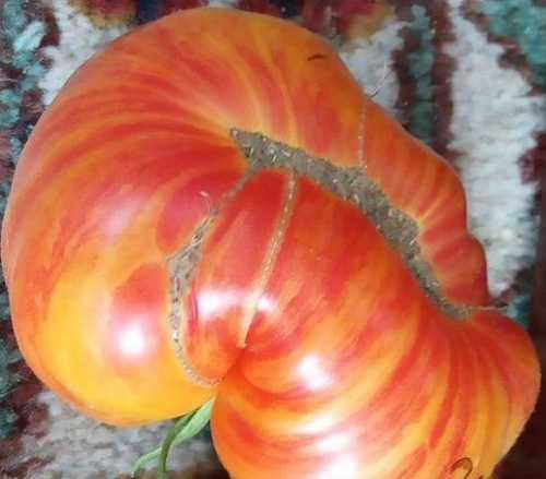 Семена коллекционных томатов - биколоры