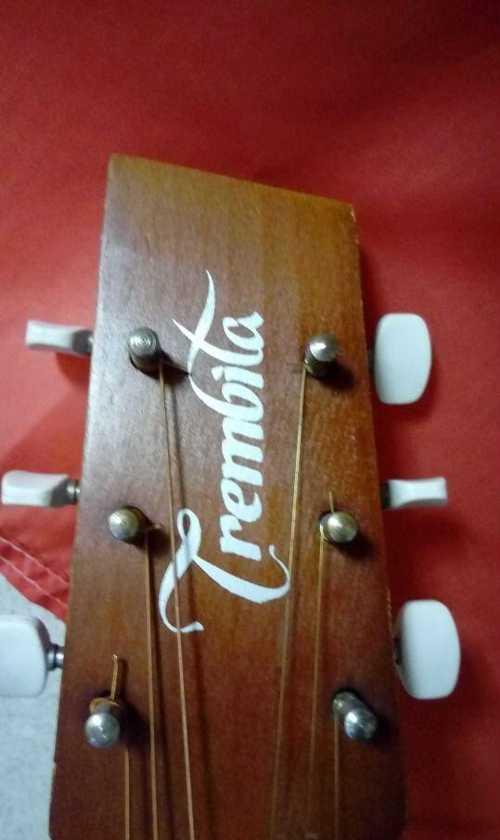 Продаю Акустическую гитару Trembita