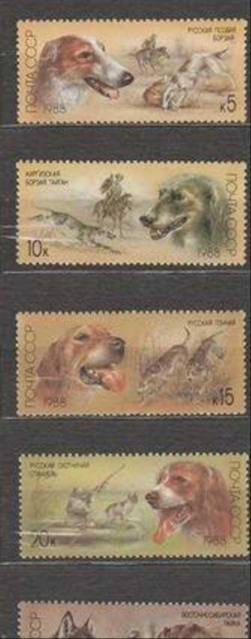 Фауна Собаки 5 чистых марок серия 1988 (СССР )