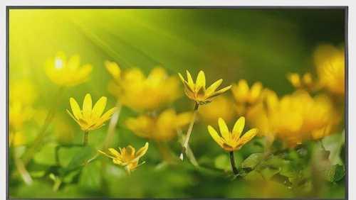 Телевизор Haier LE48U5000TF 48 (122см)