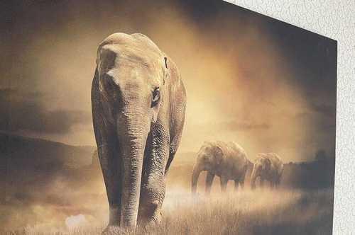 Картина слон 70 на 50 см африка hoff