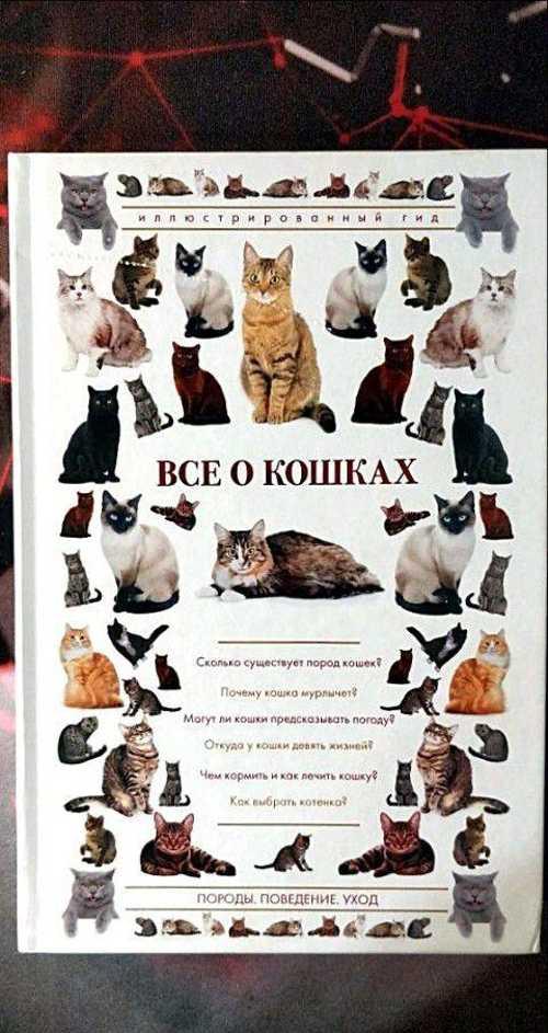 Книга Николай Непомнящий "Все о кошках" новая