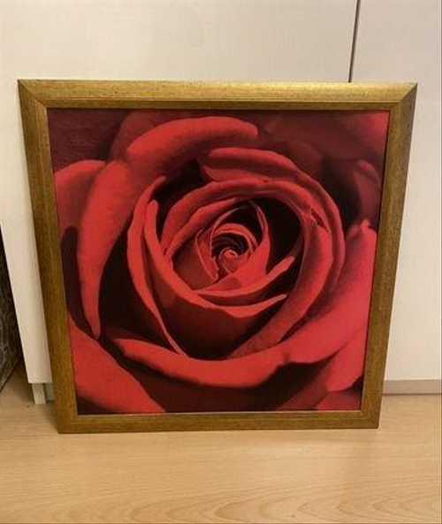 Картина красная роза постер в рамке