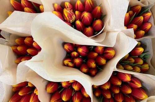 Тюльпаны к 8 марта мелким оптом