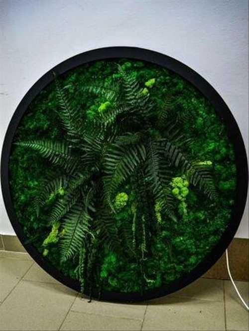 Панно из стабилизированного мха и растений