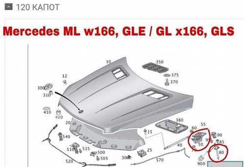 Петля и Актуатор (Пиропатрон) капота ML/GLE, GL/GL купить ...