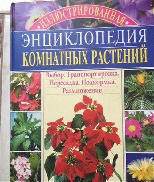 Энциклопедия комнатных растений