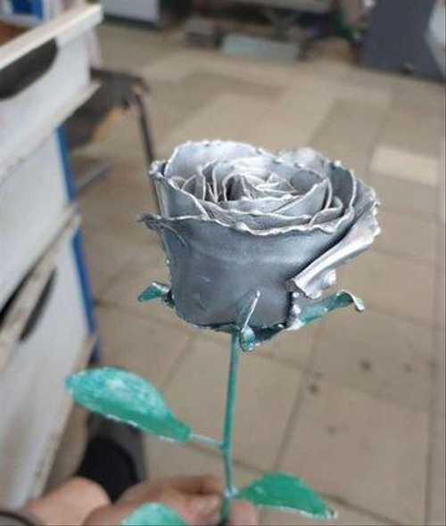 Роза железная