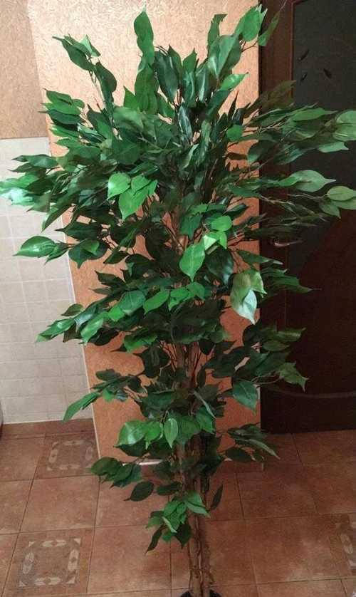 Искусственное дерево (фикус)