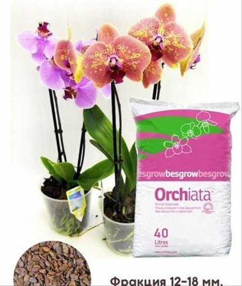 Кора орхиата для орхидей