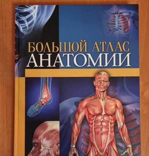 Книги по анатомии и физиологии