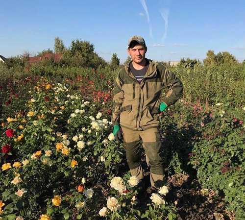 Саженцы плодовых деревьев и кустарников