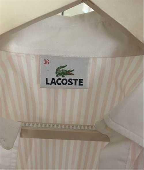 Рубашка lacoste женская