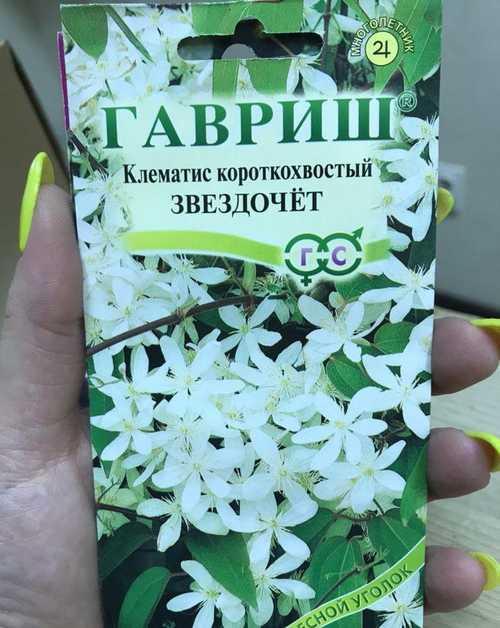 Клематис семяна