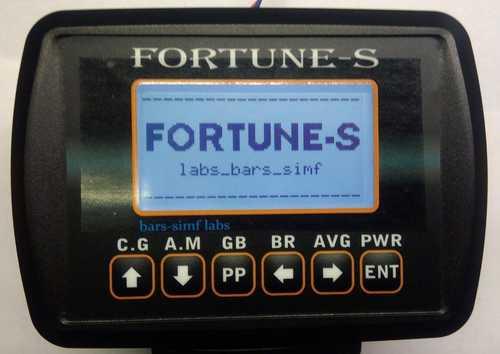 Блок металлоискателя Fortune-S (Фортуна) PL2943BK