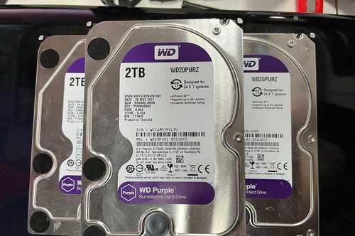 Wd20purz purple