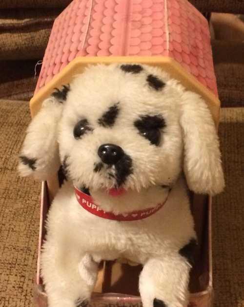 Собачка