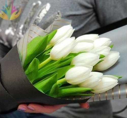 Цветы тюльпан для девушки