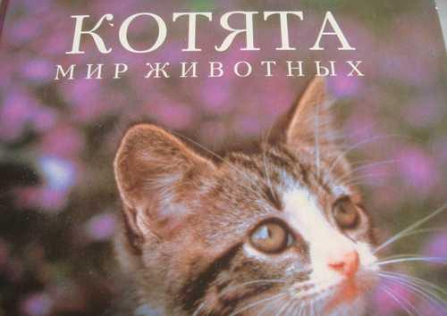 Котята (серия мир животных)