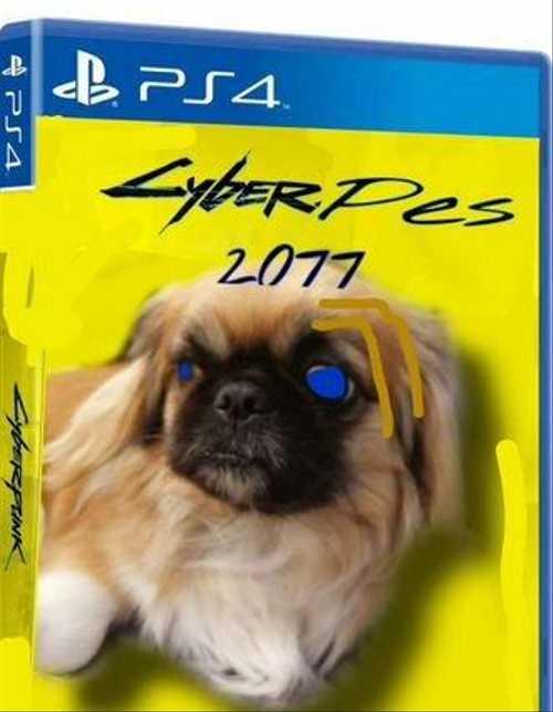 Лецинзионная версия игры cyberpes2077