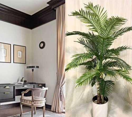 Финиковая Пальма Канарская - искусственное растени