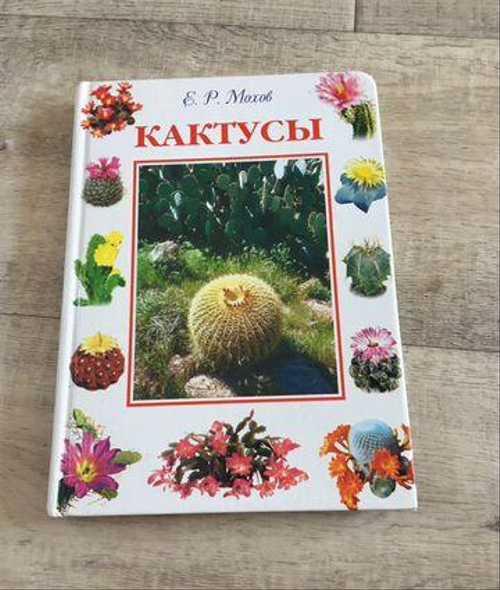 Кактусы. Все о кактусах