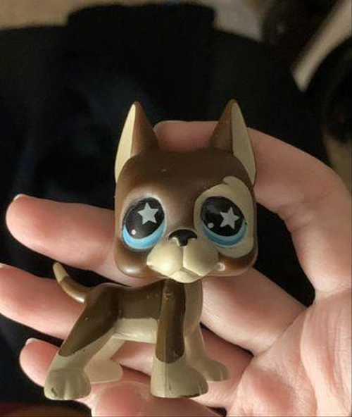 Littlest Pet Shop lps дог