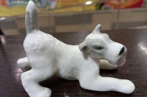 Статуэтка фарфоровая собака Фокстерьер лфз
