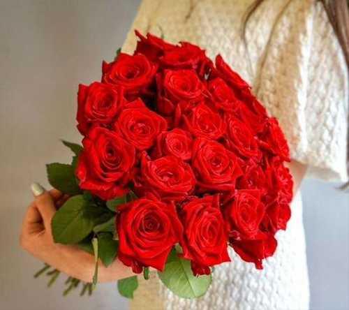 Розы 25 красных роз 50 см (Россия). Цветы