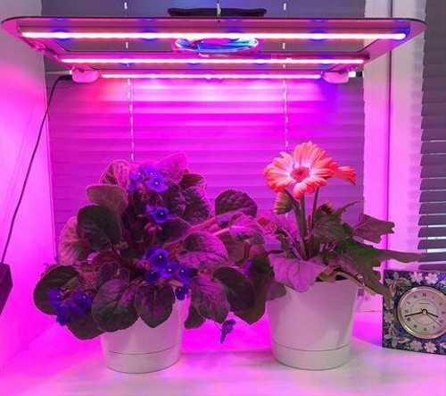 Фито лампа для растений