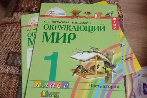 О т поглазова в д шилин. Поглазова о т. Поглазова и Шилин фото. О.Т. Поглазовой и в.д. Шилина «окружающий мир». 1 Кл описание учебника Матвеева н.б., котинам.с., Куртова т.о. живой мир.