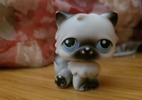 Littlest pet shop